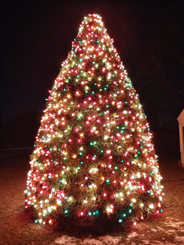 Annual Diamond family tree decorating delights community | News, Sports ...